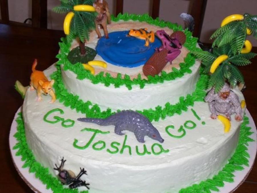 Go, Diego, Go Themed Birthday Cake - CakeCentral.com