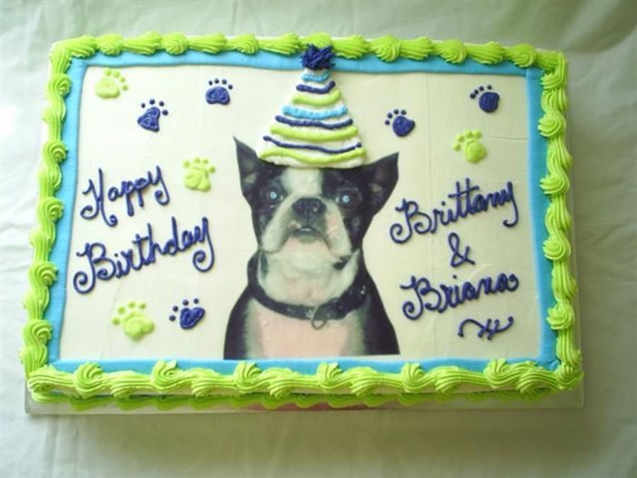 Boston Terrier Dog - CakeCentral.com