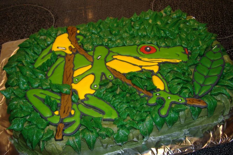 Red-Eyed Tree Frog Cake - CakeCentral.com
