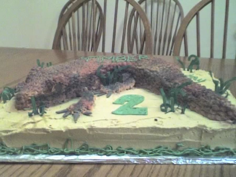 Side View Of Lizard Cake - CakeCentral.com