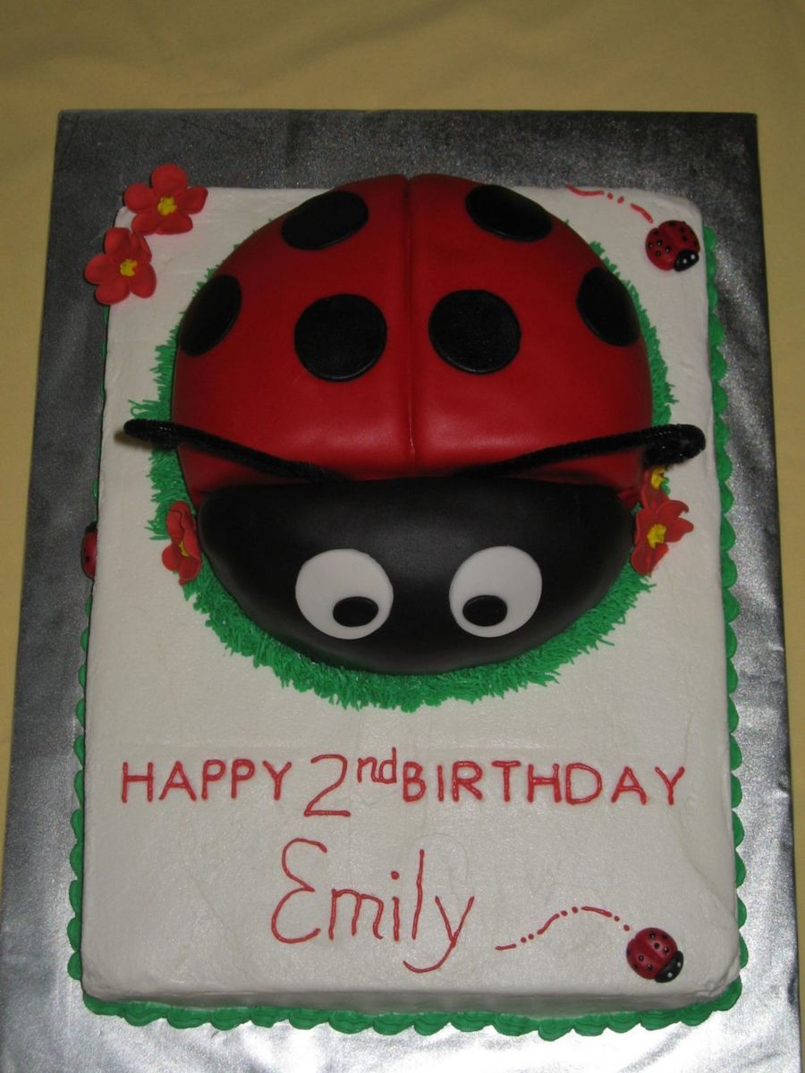 Ladybug Cake - CakeCentral.com