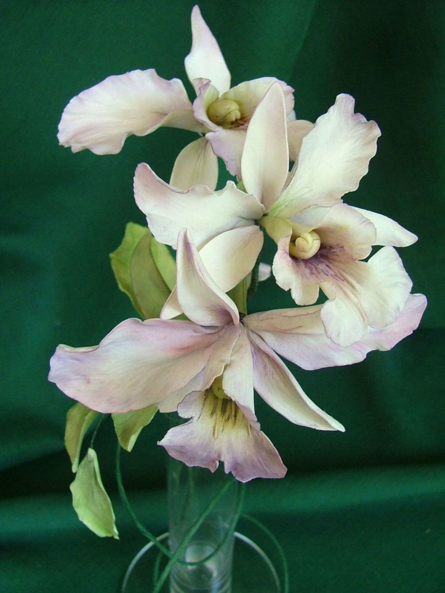 Cold Porcelain Orchids - CakeCentral.com