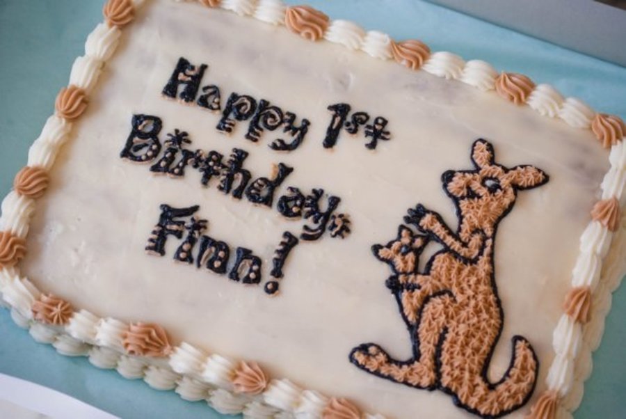 1St Birthday Kangaroo Cake - CakeCentral.com