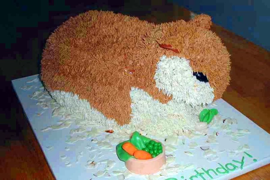 Hamster Cake - CakeCentral.com