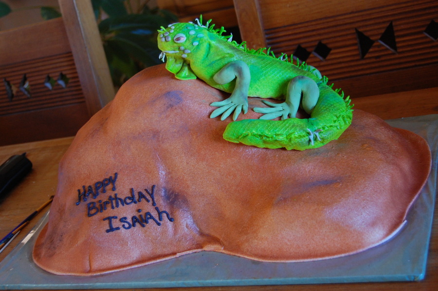 Iguana Birthday - CakeCentral.com