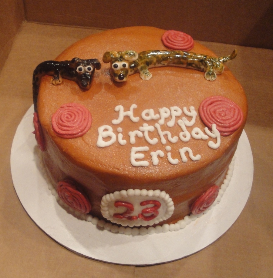 Weiner Dogs - CakeCentral.com