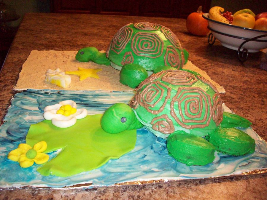 Turtle Birthday Cake - CakeCentral.com