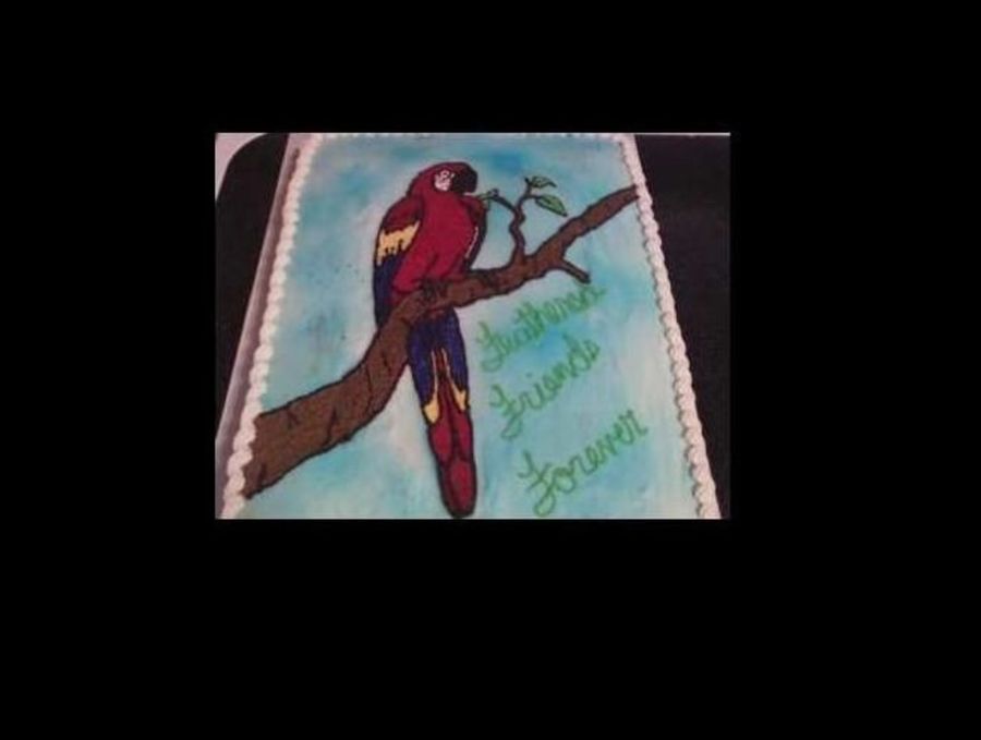 Macaw Parrot Cake - CakeCentral.com