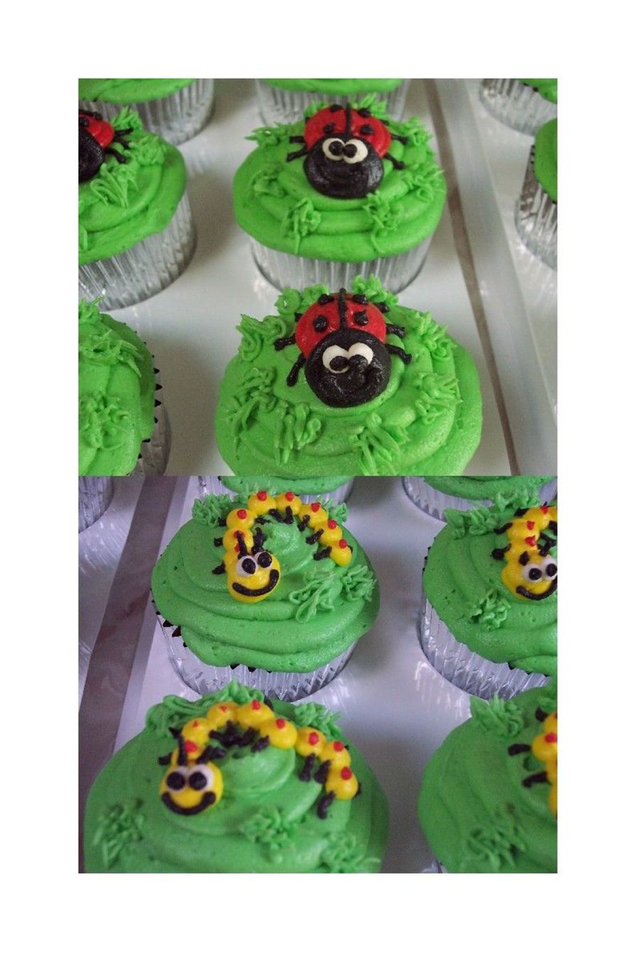 Bug Cupcakes - CakeCentral.com