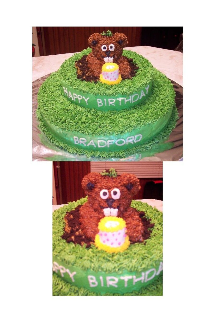 Groundhog Day Birthday - CakeCentral.com