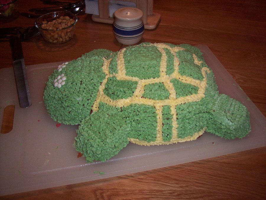Graduation Tortoise Cake - CakeCentral.com