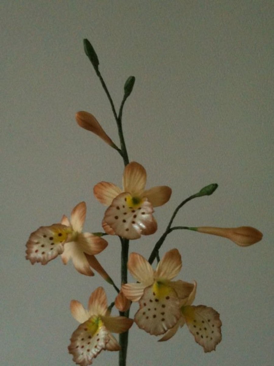 1St Gumpaste Mini Orchids - CakeCentral.com