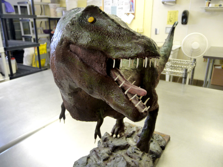 3D Tyrannosauras Rex Birthday Cake - CakeCentral.com