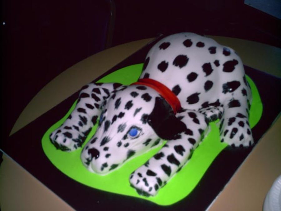 Dalmatian Cake - CakeCentral.com