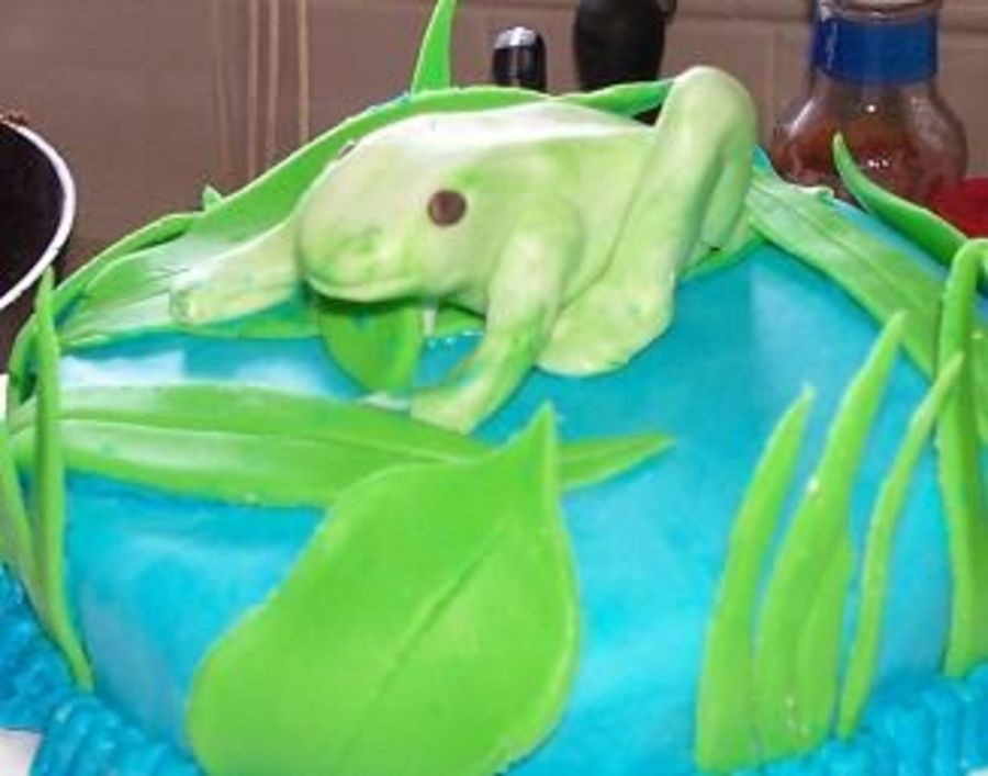 Fondant Frog - CakeCentral.com