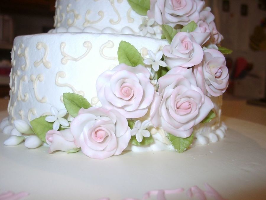 Pale Pink Roses Cascade - CakeCentral.com