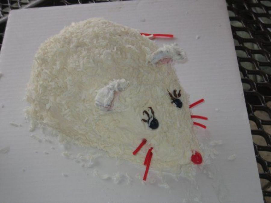 Mouse Cake - CakeCentral.com