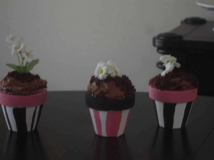 Mini Flower Pot Cupcakes - CakeCentral.com