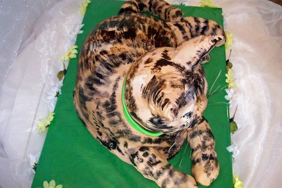 Tabby Cat Cake - CakeCentral.com