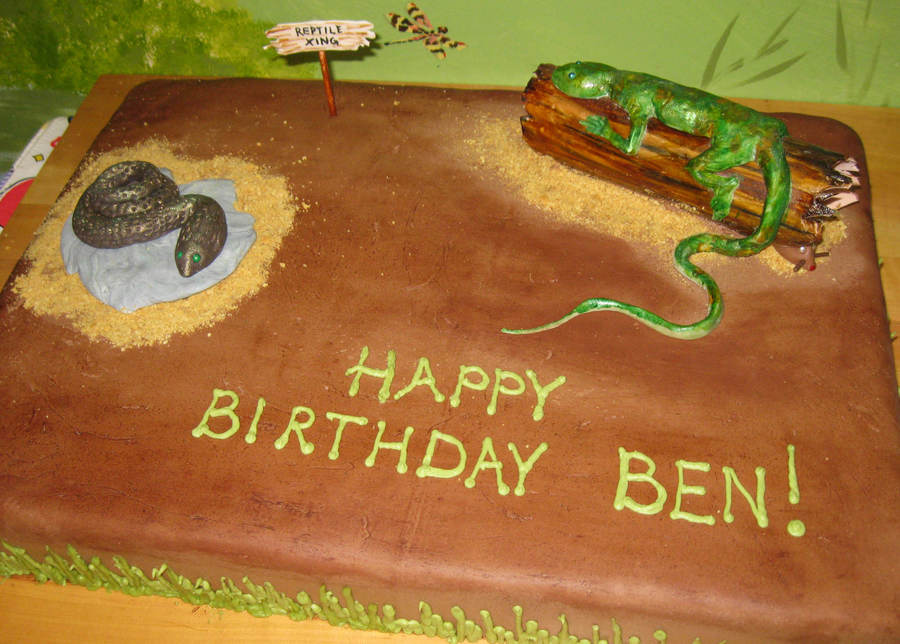 Reptile Cake - CakeCentral.com