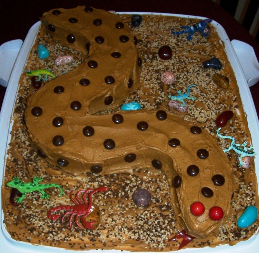 3-D Snake Cake - CakeCentral.com