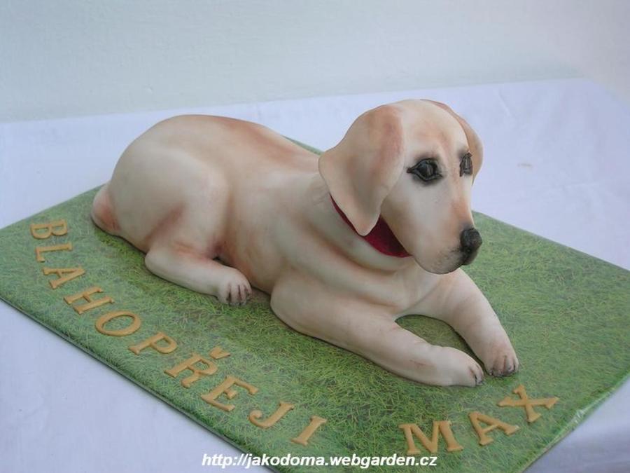 Labrador Retriever - CakeCentral.com