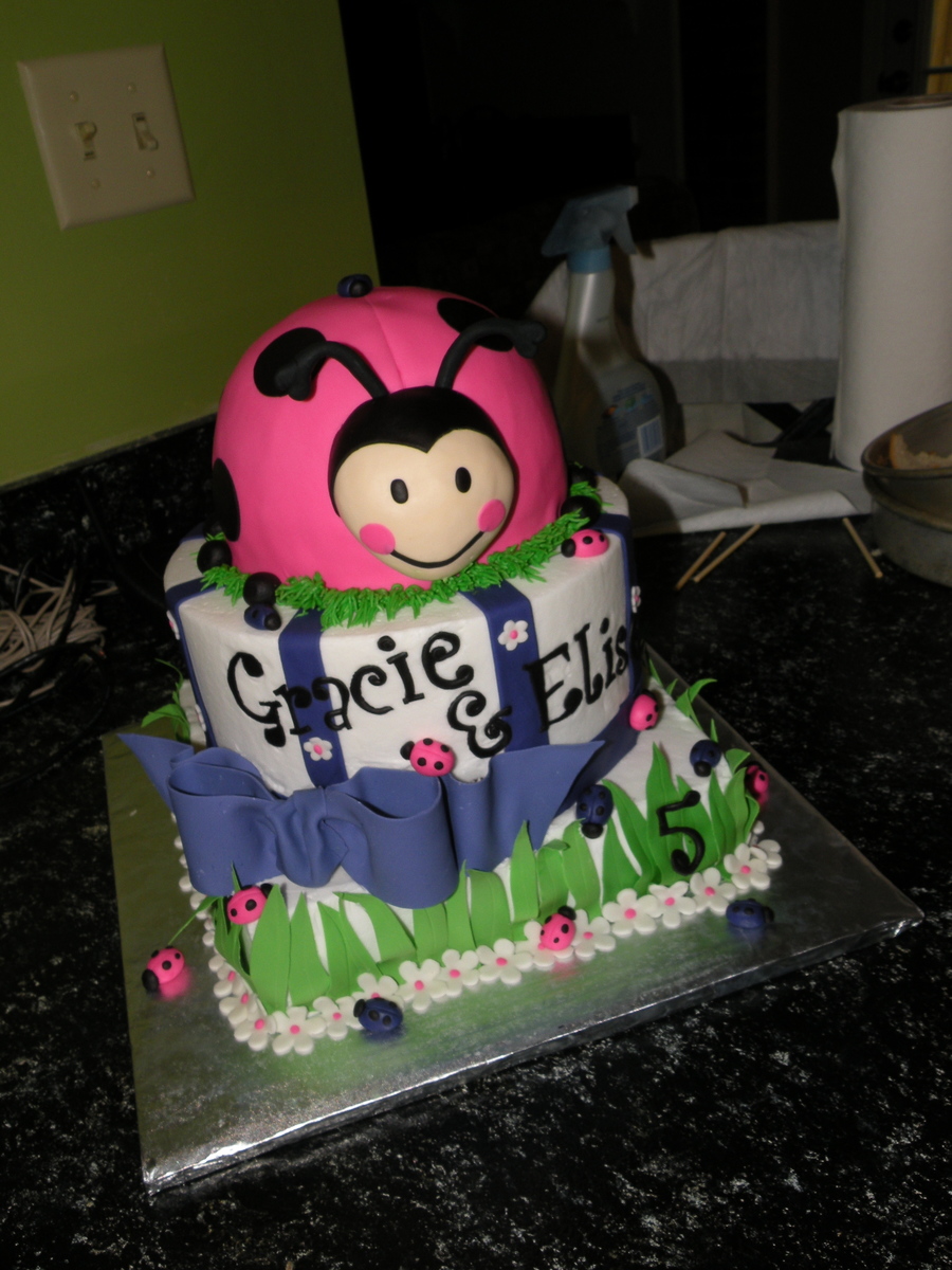 Pink And Purple Ladybug Cake - CakeCentral.com