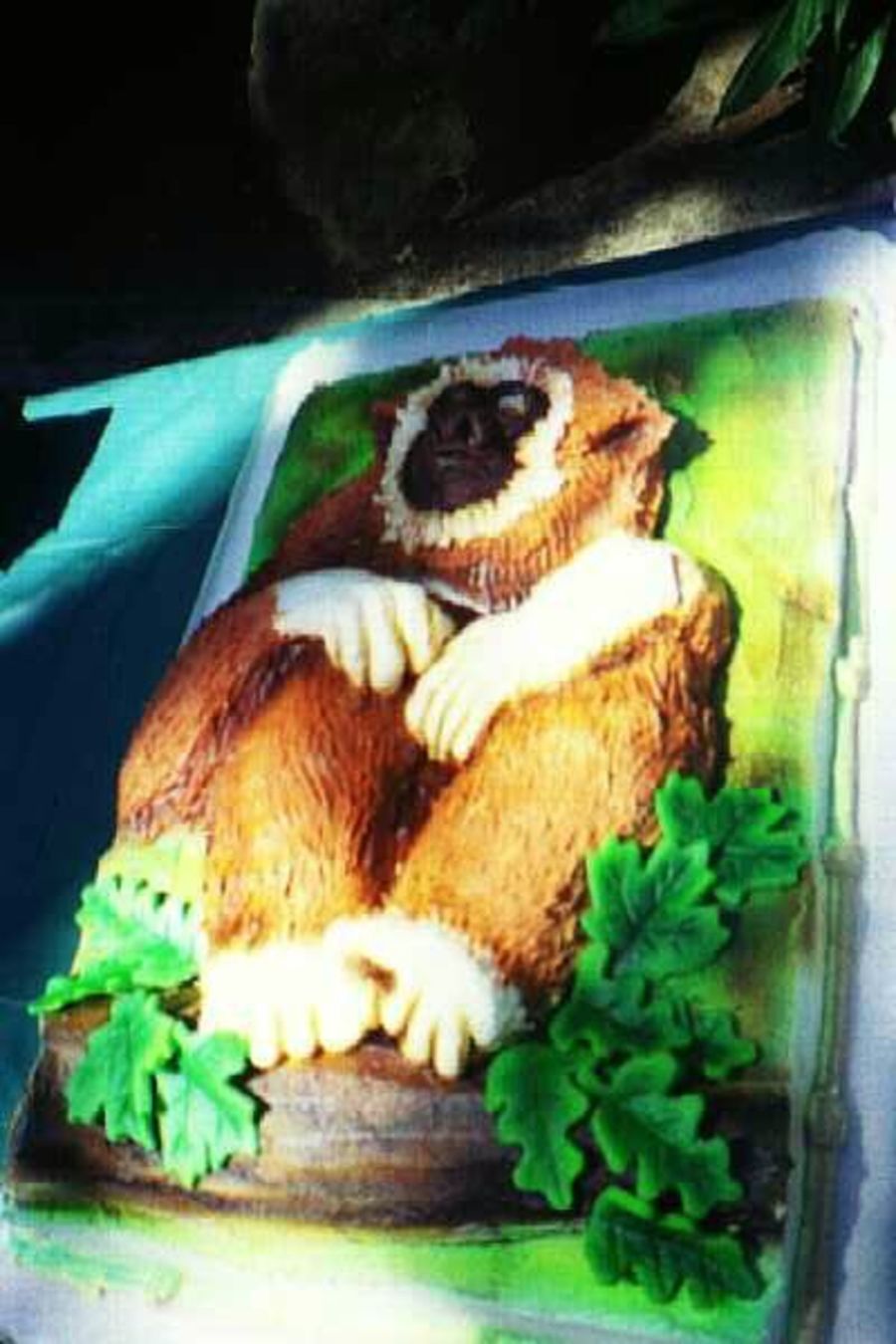 Monkey_Cake_Save_Mart.jpg - CakeCentral.com