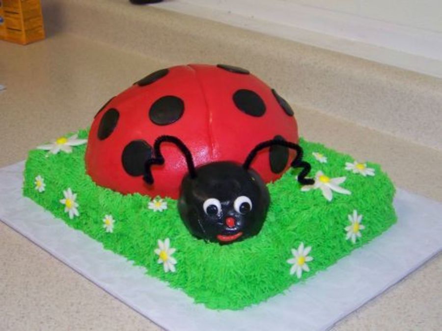 Ladybug Birthday Cake - CakeCentral.com