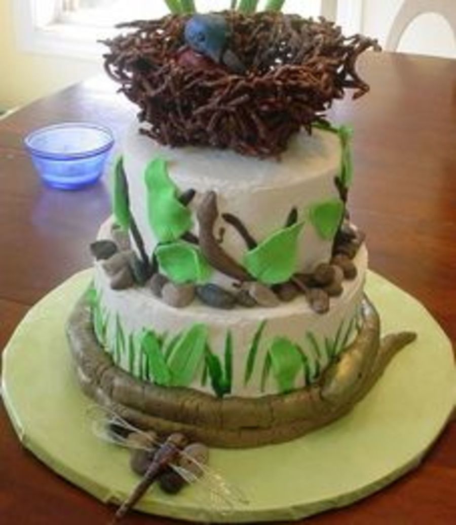 Nature Cake - CakeCentral.com