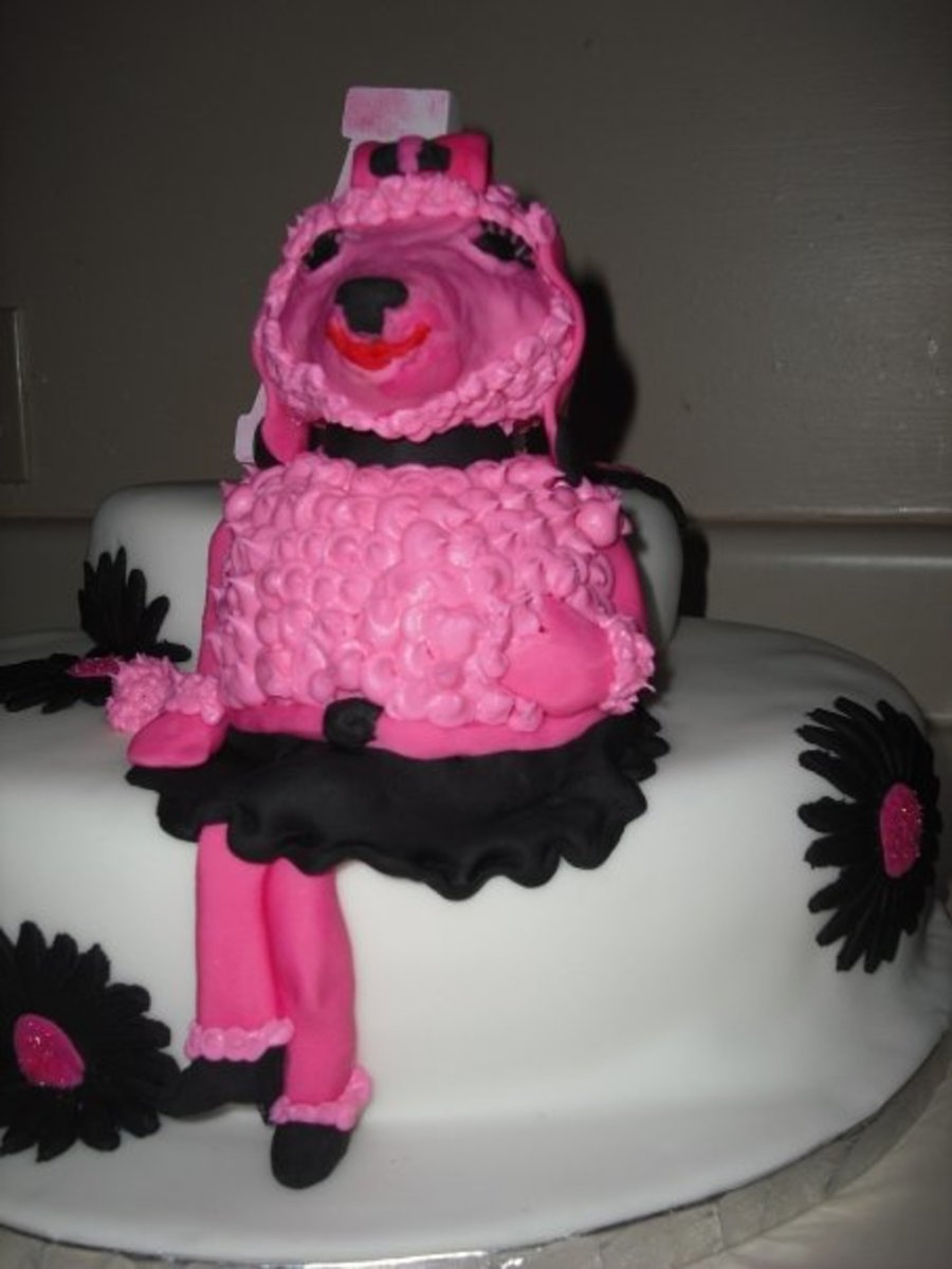 Pink Poodle Cake - CakeCentral.com