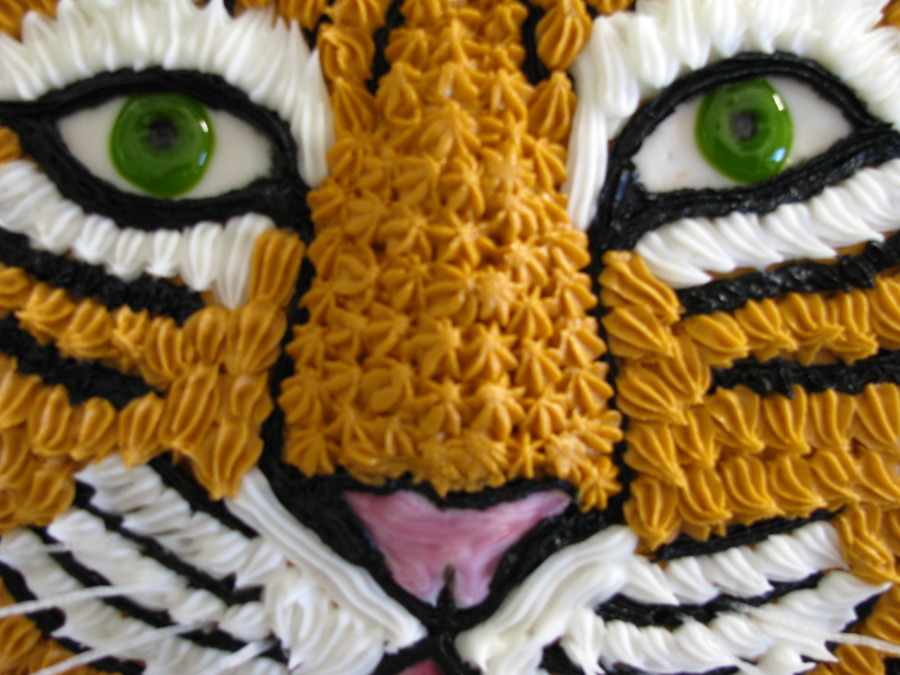 Orange & White Tiger - CakeCentral.com