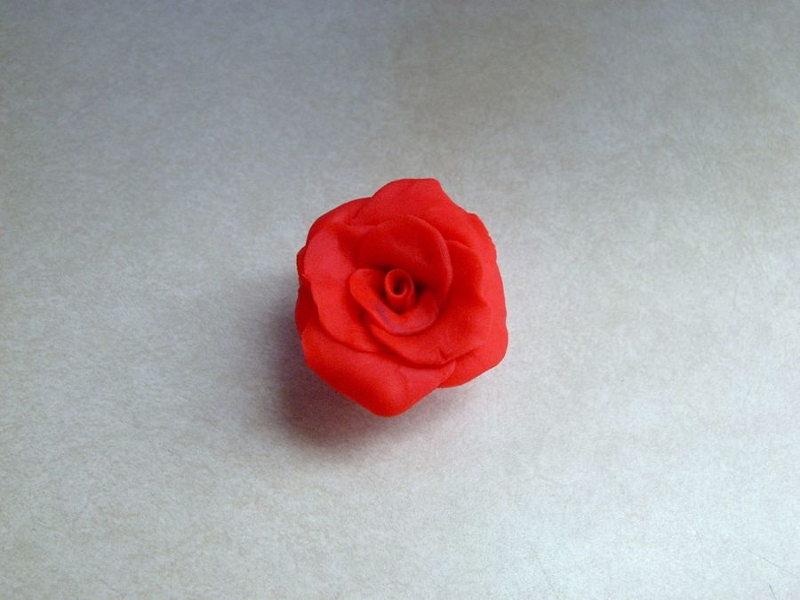 Another Practice Rose - CakeCentral.com