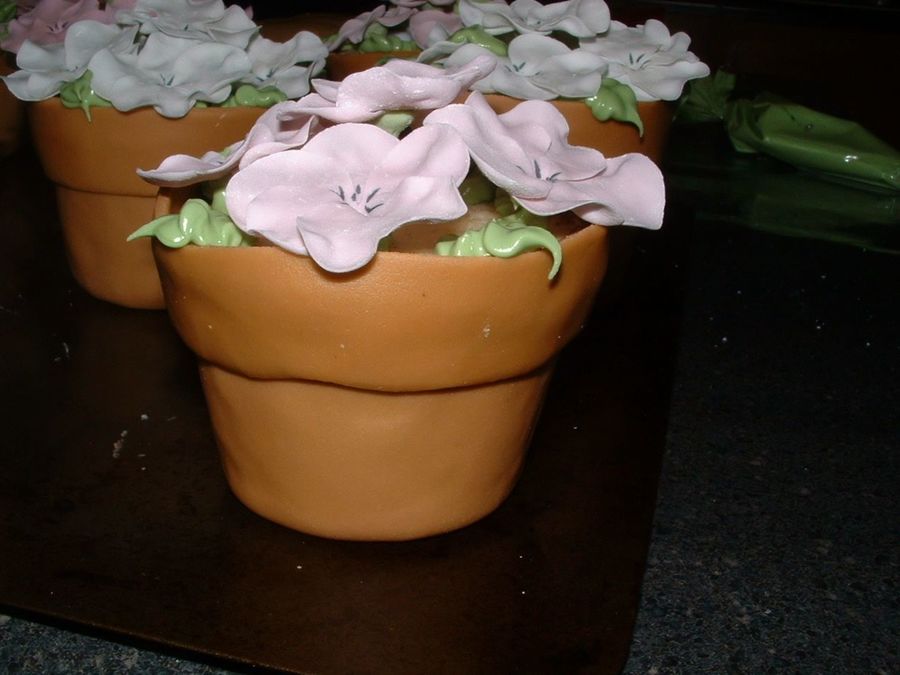 Flower Pot Cakes - CakeCentral.com