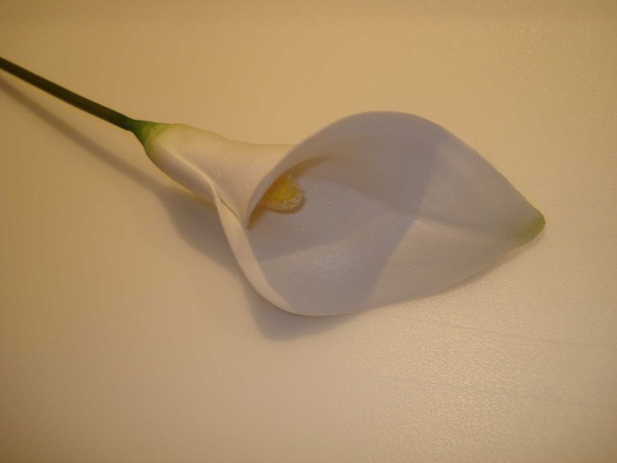 Calla Lily - CakeCentral.com
