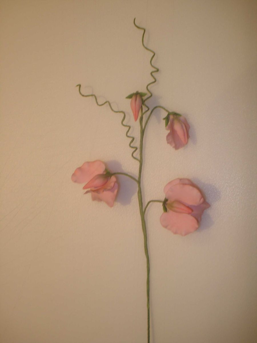 Sweet Pea - CakeCentral.com