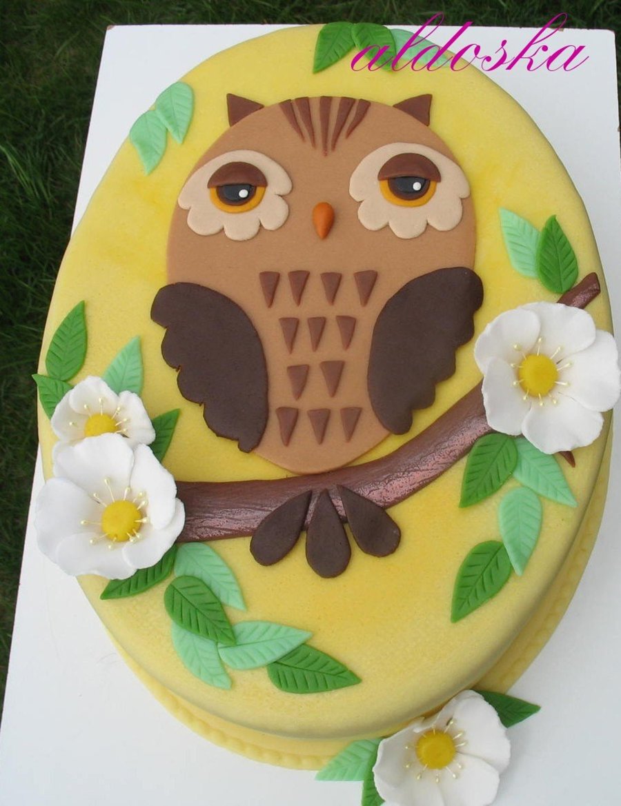 Owl Cake - CakeCentral.com