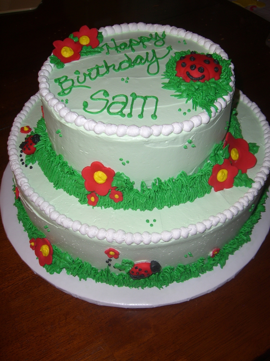 Sam's Ladybug Birthday Cake - CakeCentral.com