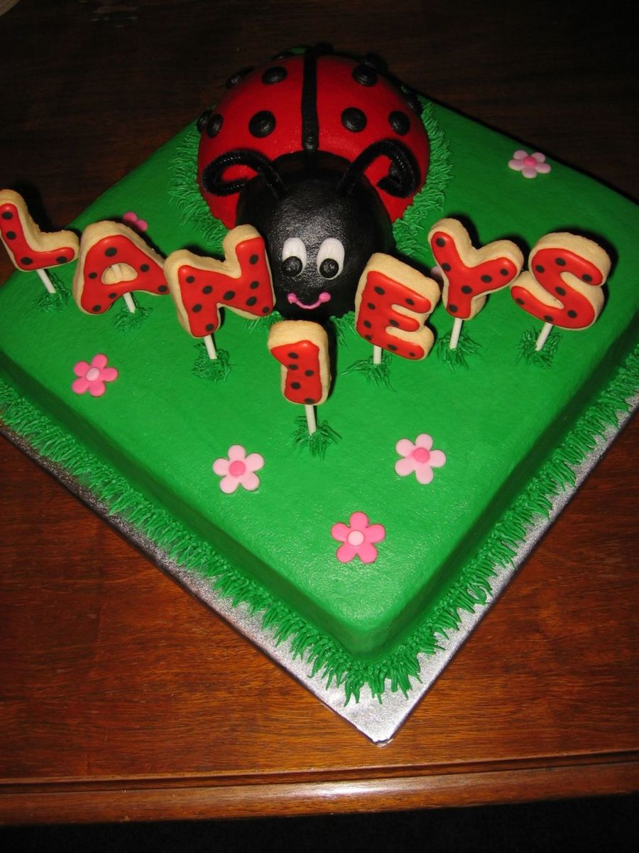 Lady Bug Cake - CakeCentral.com