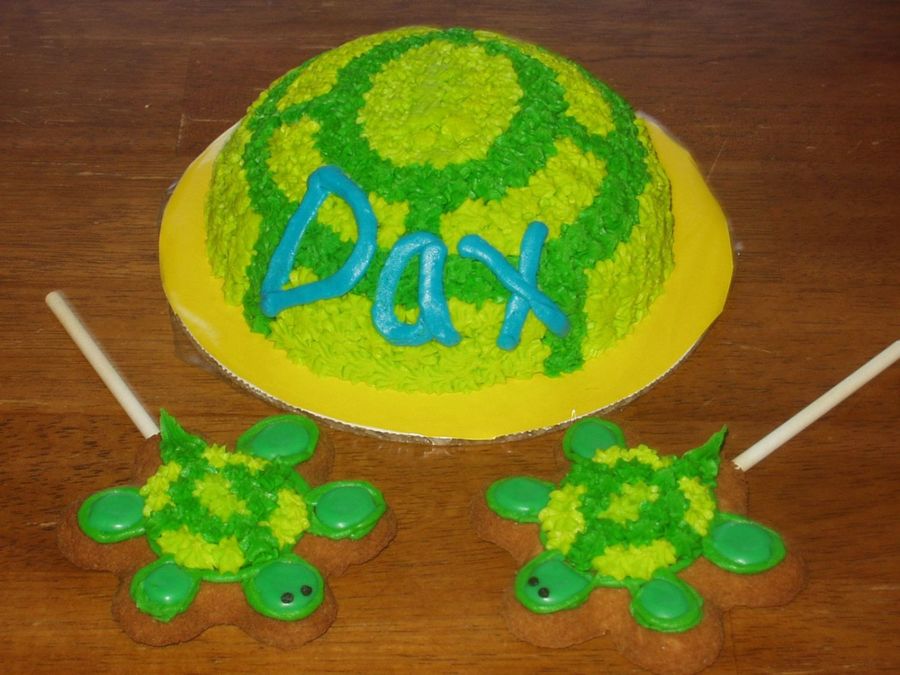 Turtle Shell (Smash Cake) And Turtle Cookies - CakeCentral.com