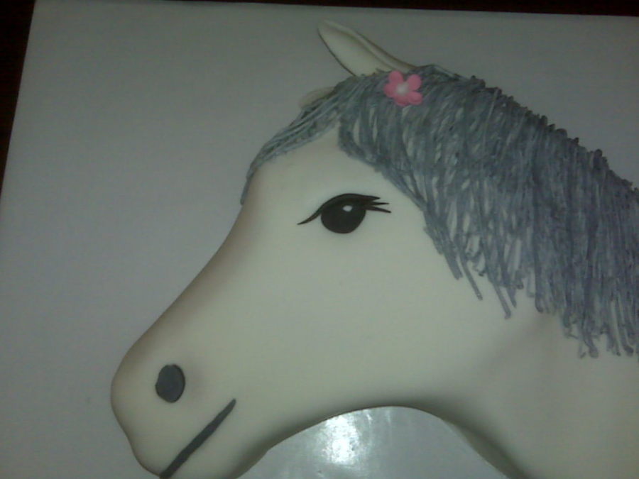 Horsey Cake - CakeCentral.com