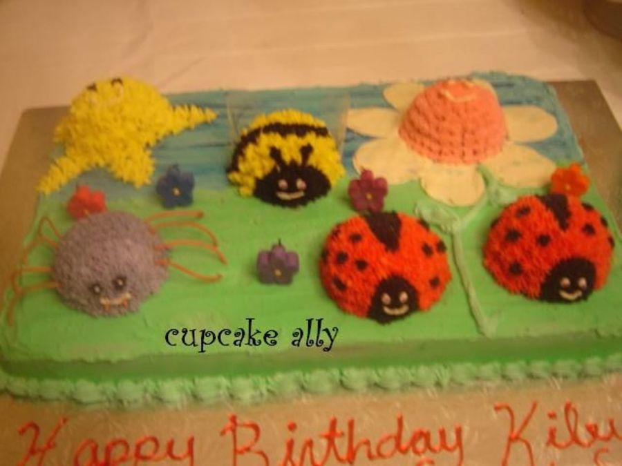 Girly Bug Cake - CakeCentral.com