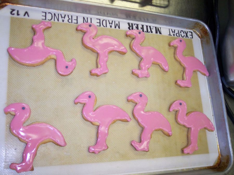 Flamingo Sugar Cookies - CakeCentral.com