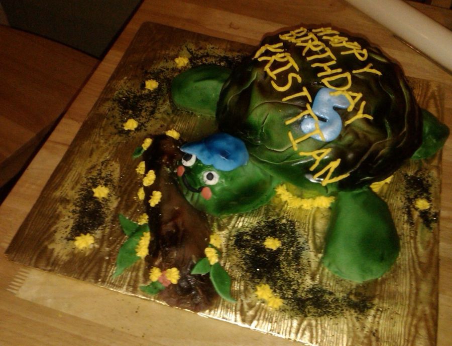 Turtle Birthday Cake - CakeCentral.com