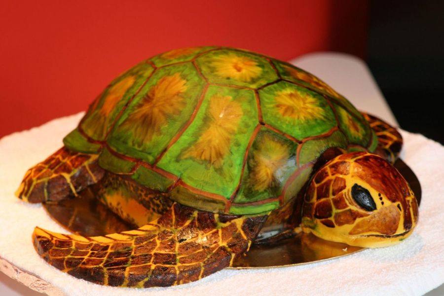 Turtle Cake - CakeCentral.com