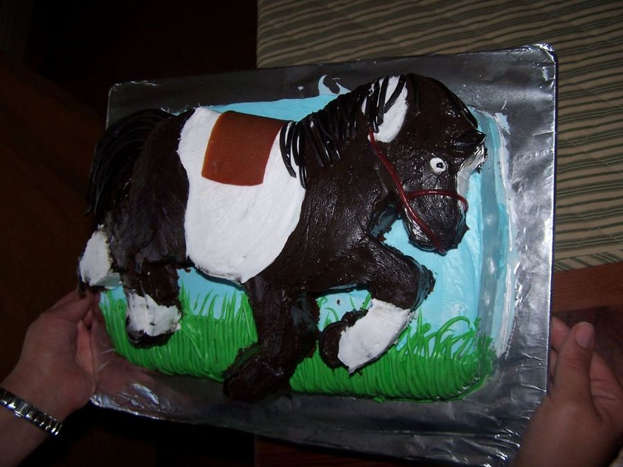 Pony Cake - CakeCentral.com