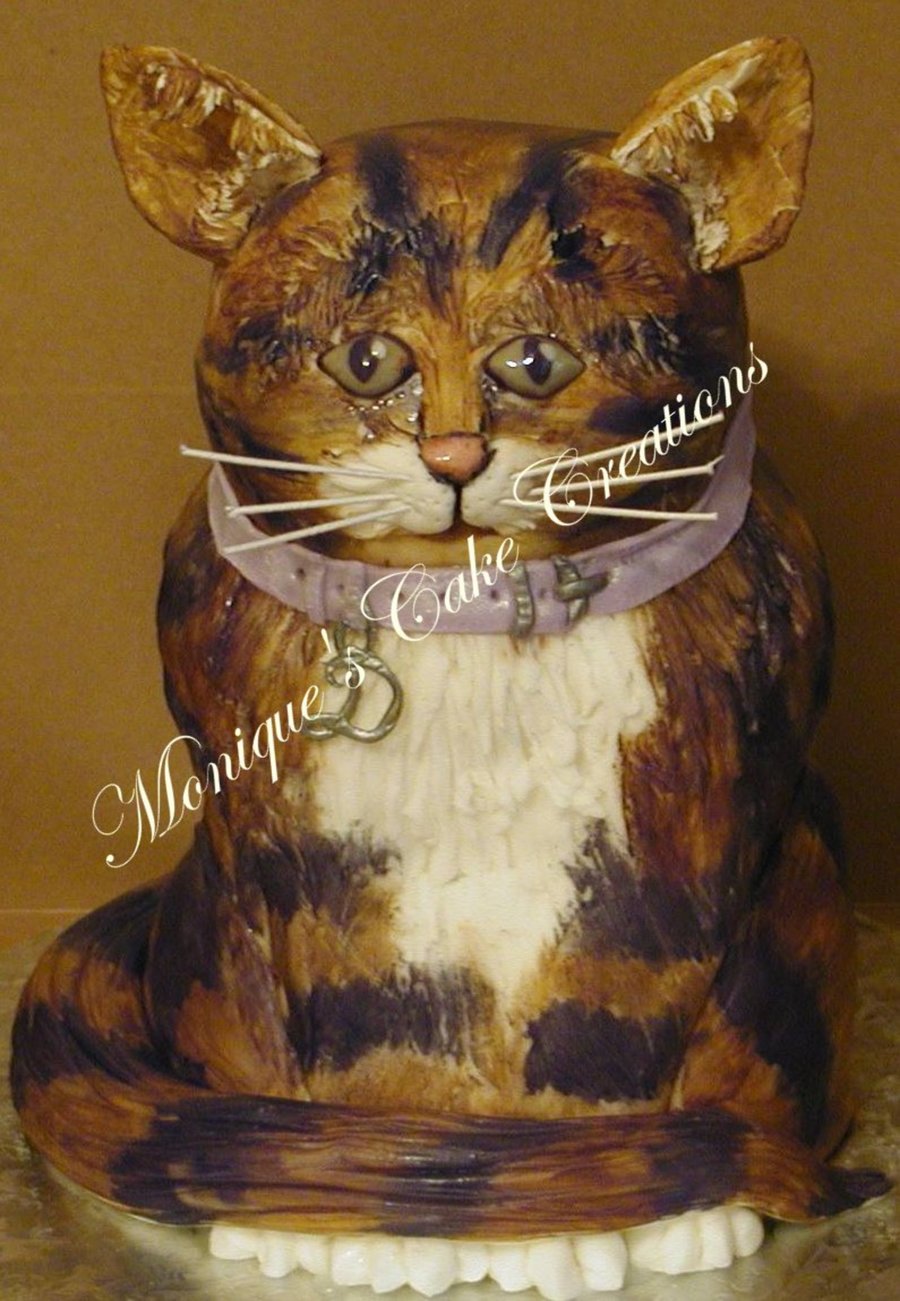 Brown Tabby Cat - CakeCentral.com
