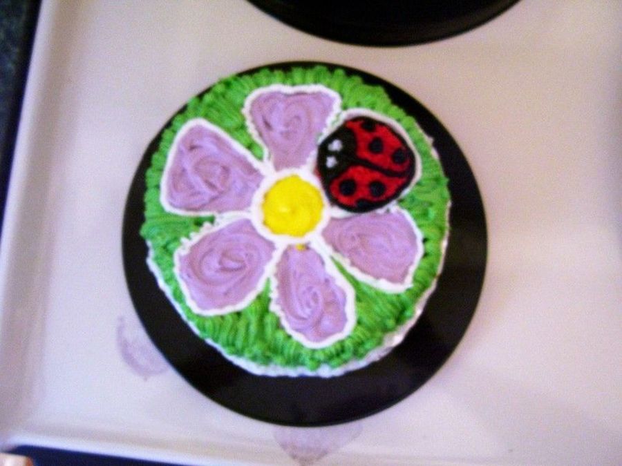 Lady Bug - CakeCentral.com