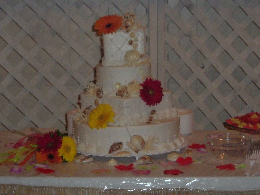 Chocolate Sea Shell Wedding Cake - CakeCentral.com