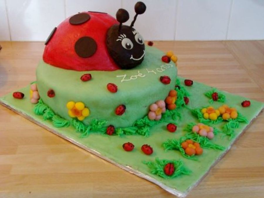 Lady Bug - CakeCentral.com